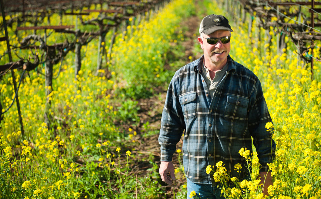 Behind Each Wine Label is an Artisan – discover.wineaccess.com